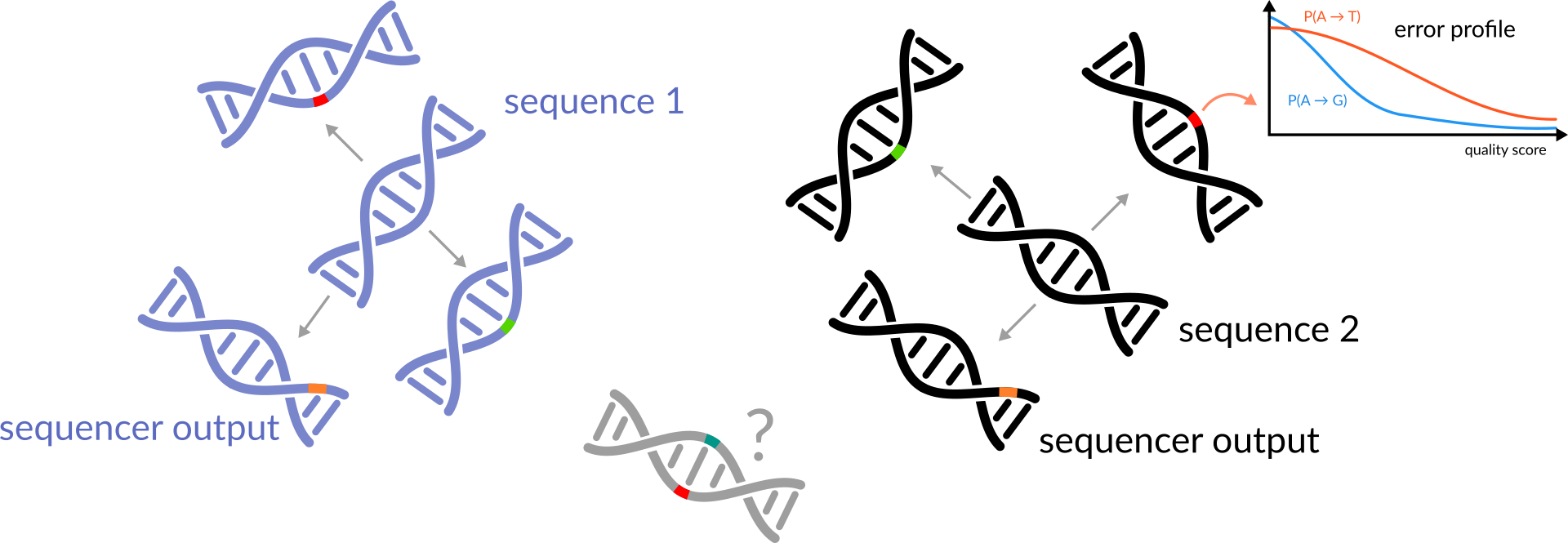 Amplicon sequencing analysis with Qiime 2