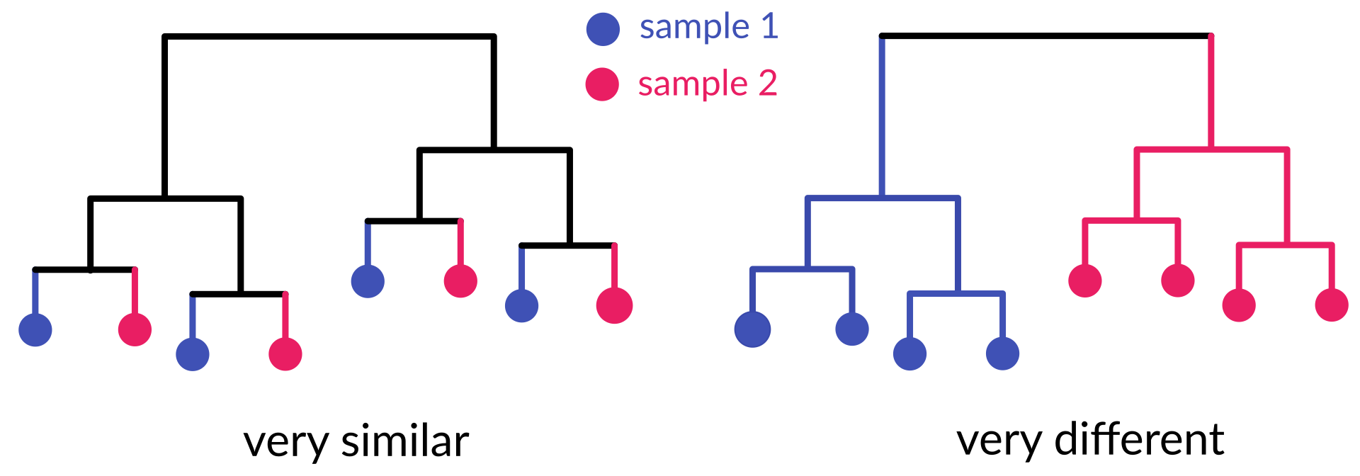 Amplicon sequencing analysis with Qiime 2