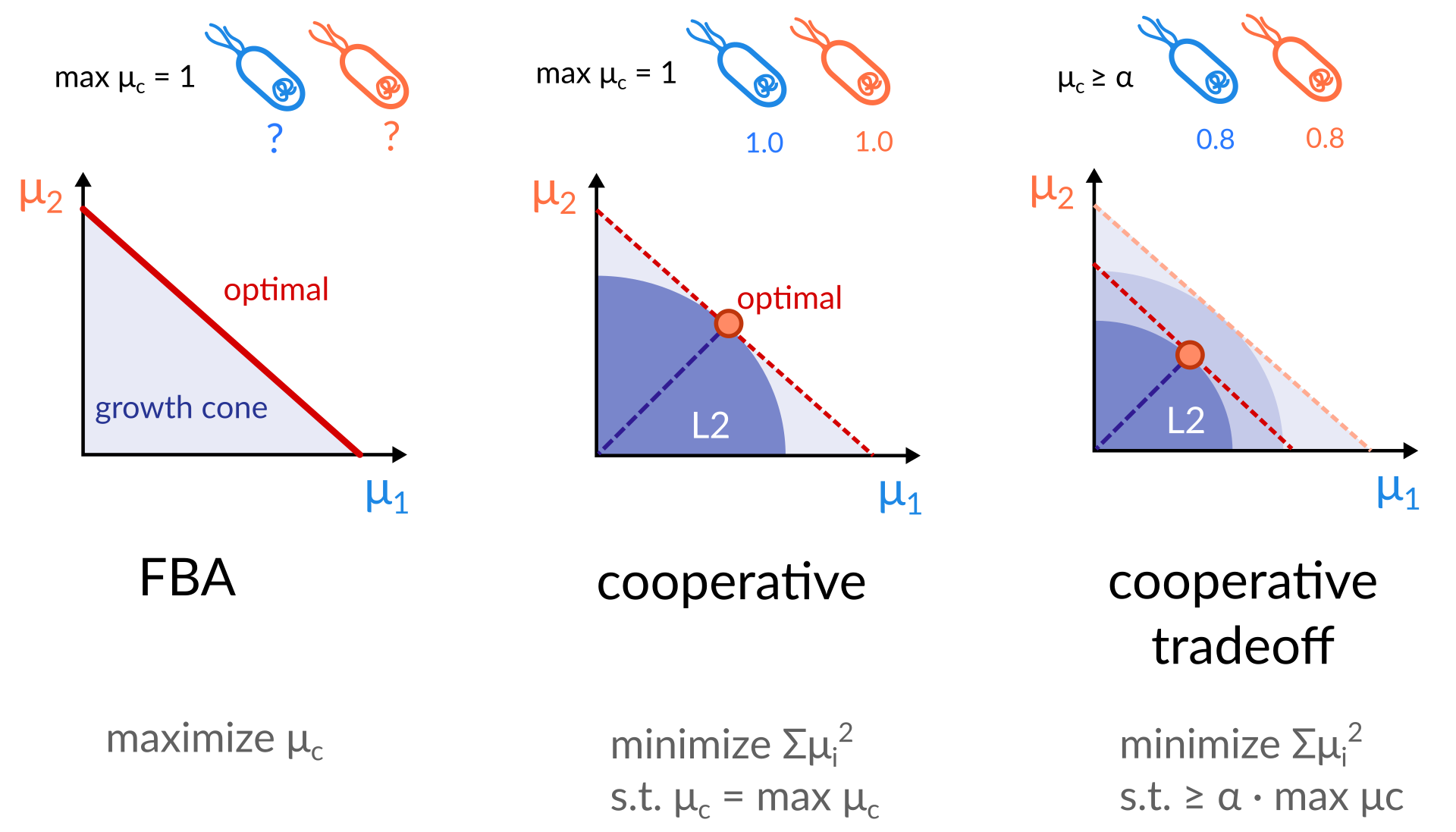 Modeling microbiota-wide metabolism with MICOM