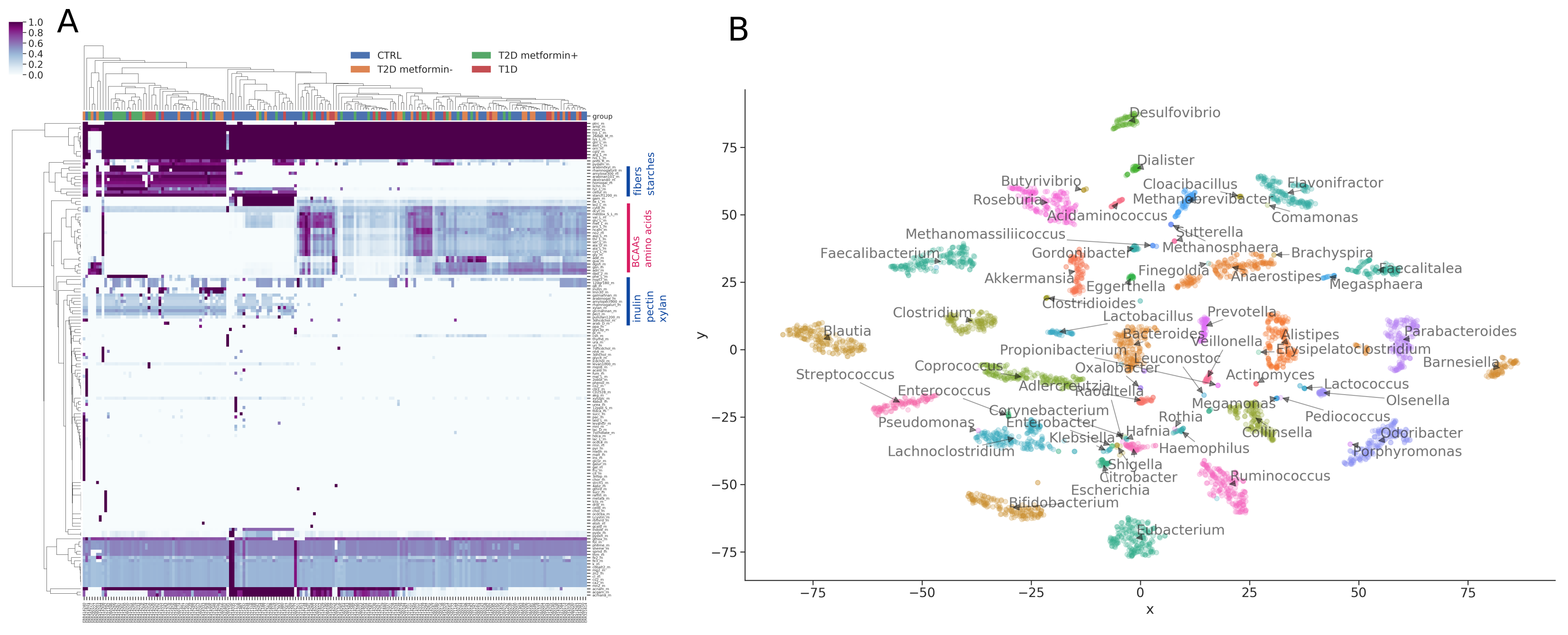 Modeling microbiota-wide metabolism with MICOM