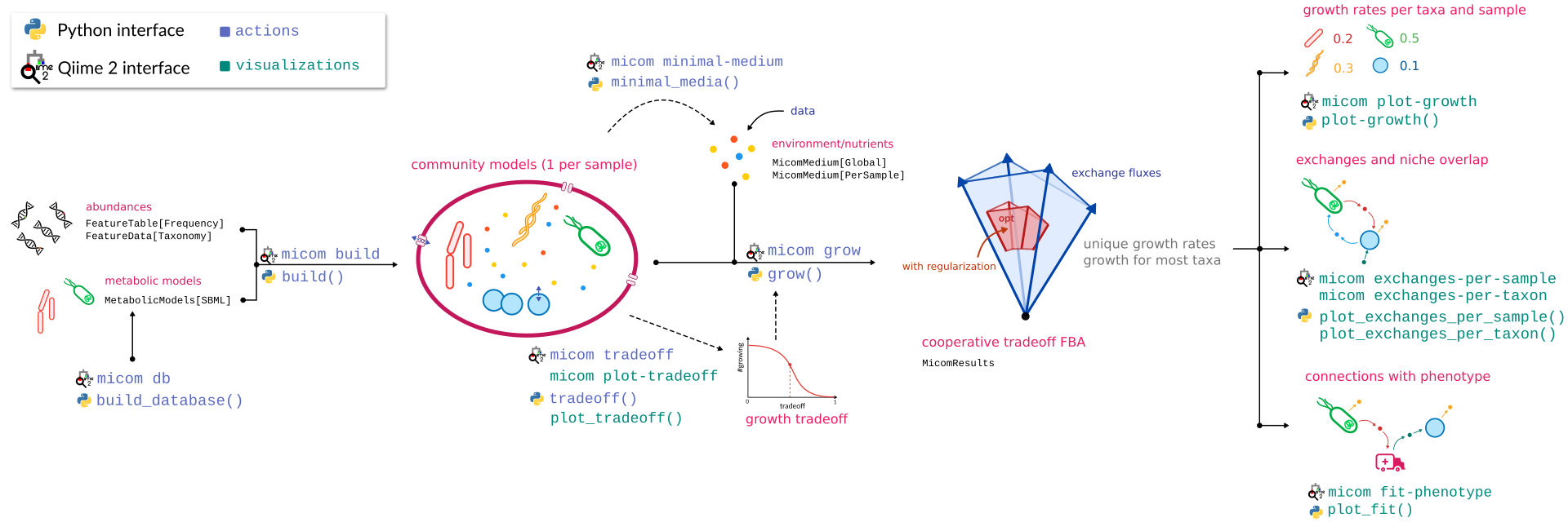 Modeling microbiota-wide metabolism with MICOM