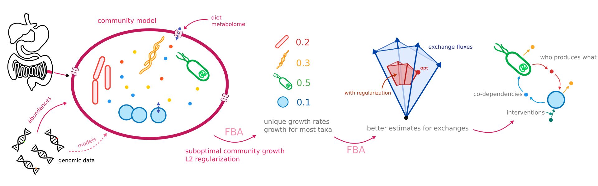 Modeling microbiota-wide metabolism with MICOM