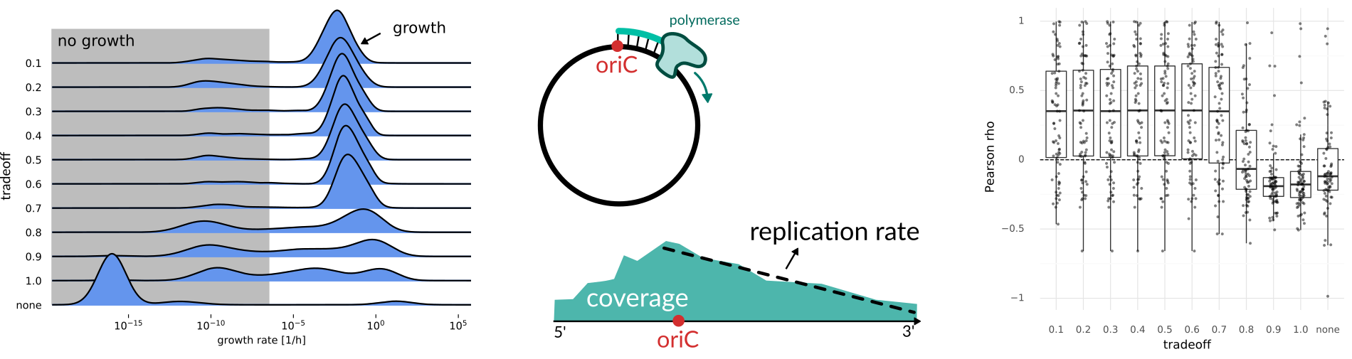 Modeling microbiota-wide metabolism with MICOM