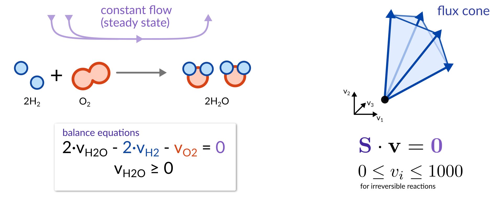 2022 ISB Virtual Microbiome Series - day 2