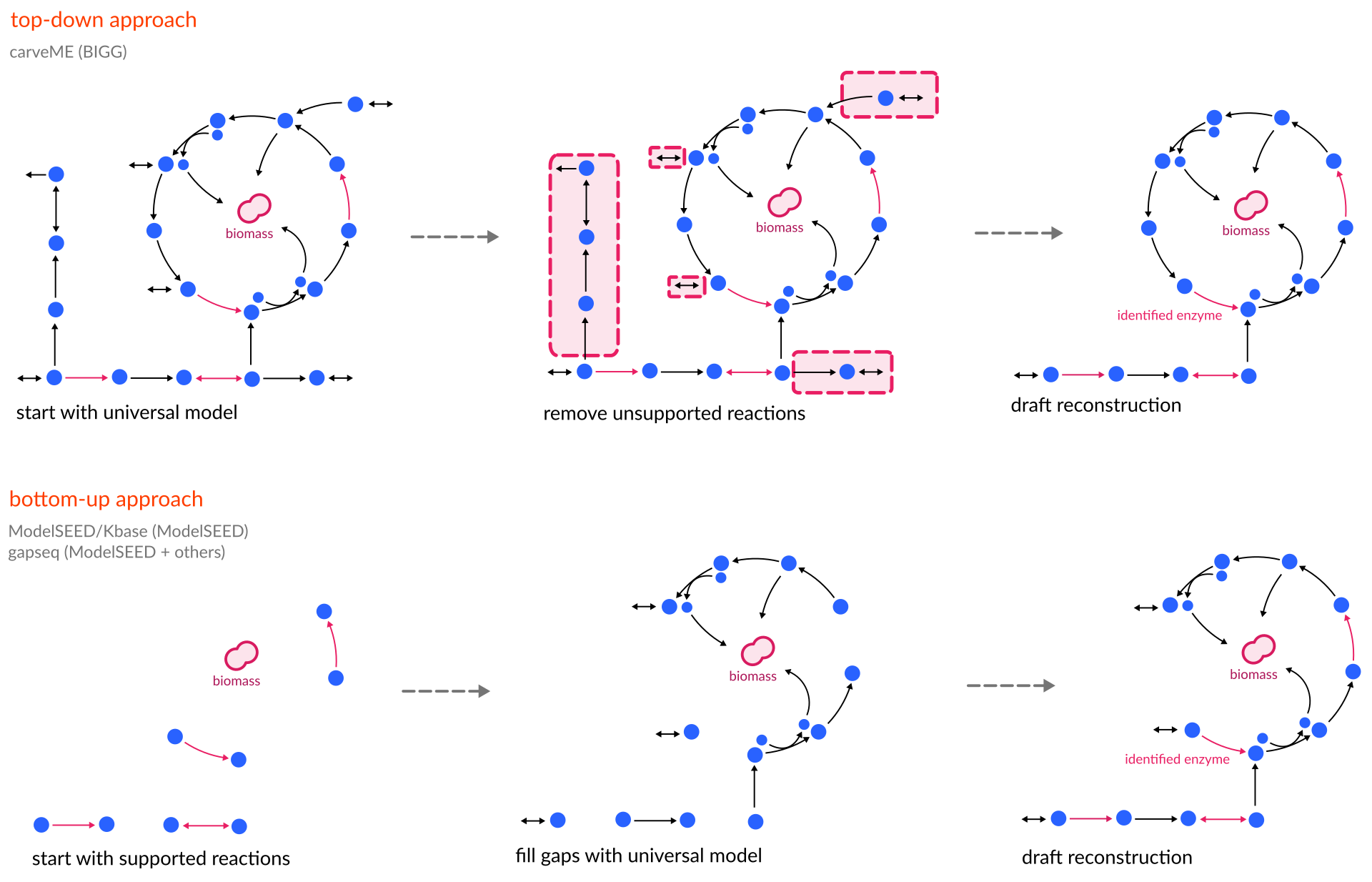 Modeling metagenome-wide metabolism with MICOM